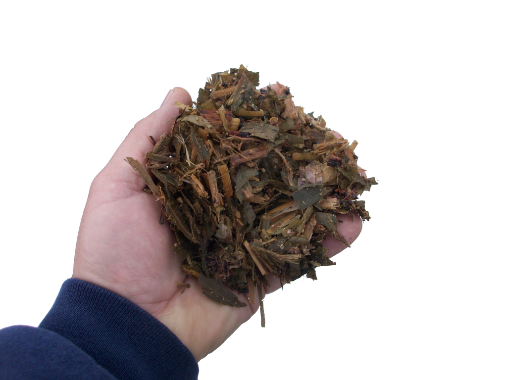 2013 Forage Analysis Winners - King's AgriSeeds