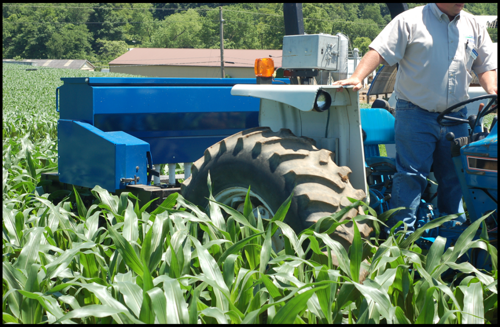 Interseeder: Growing Two Crops Together | King's AgriSeeds