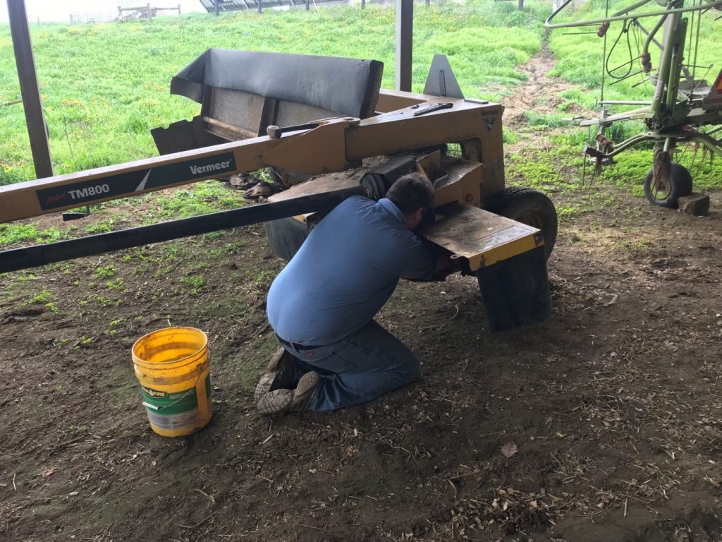 Pasture Pruning to Prevent Problems - King's AgriSeeds