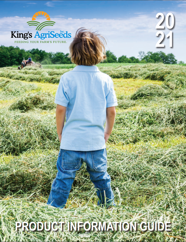 Agriculture Seed Company | High Energy Forages | King's AgriSeeds