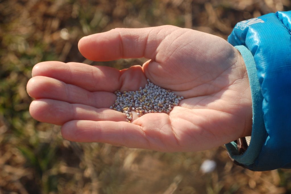 Frost-seeding - King's AgriSeeds