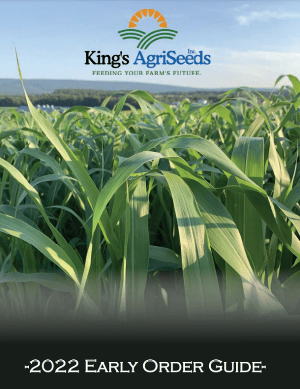 Agriculture Seed Company | High Energy Forages | King's AgriSeeds