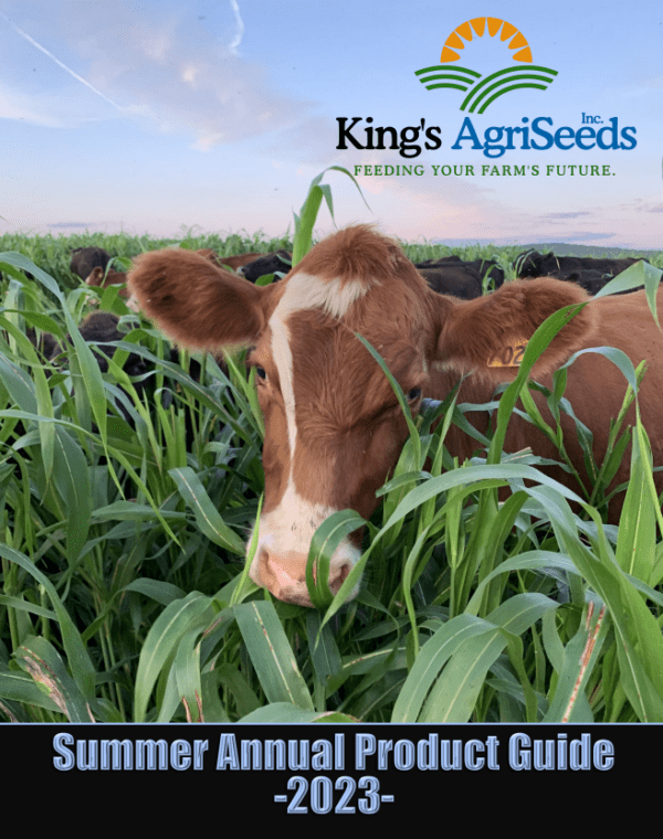 Agriculture Seed Company | High Energy Forages | King's AgriSeeds
